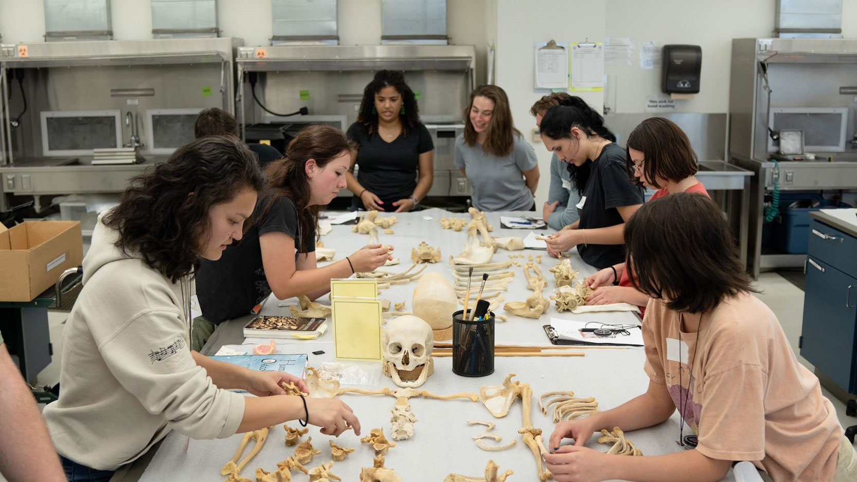 Home - C.A. Pound Human Identification Lab